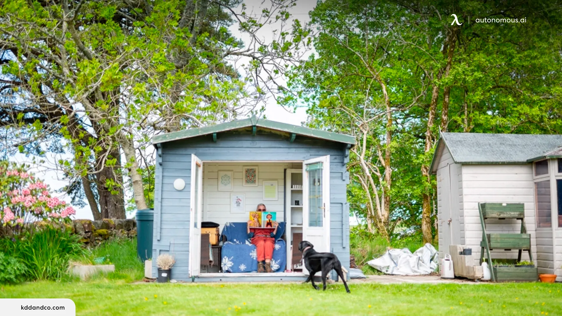 Discover Ingenious Ways to Fit 2 Sheds in Backyards