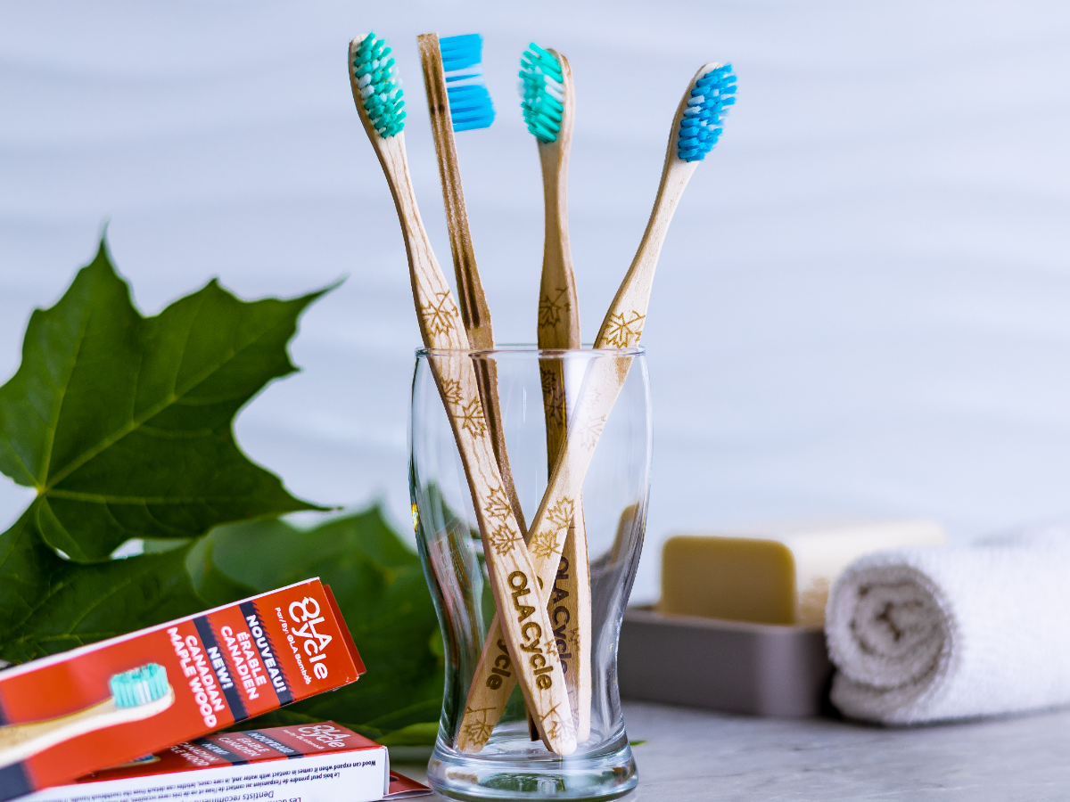 Maple Wood Toothbrushes made in Canada