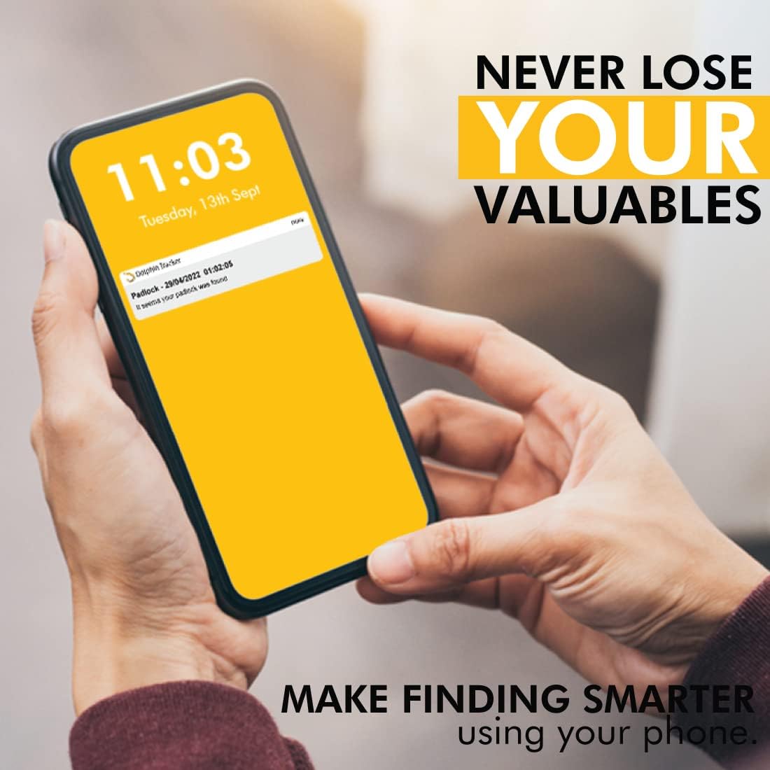 Dolphin Smart Padlock