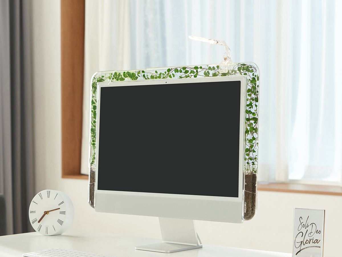 PLTRIS Vines that Grow Along the Monitor - Monitree (Indoor Garden Kit)